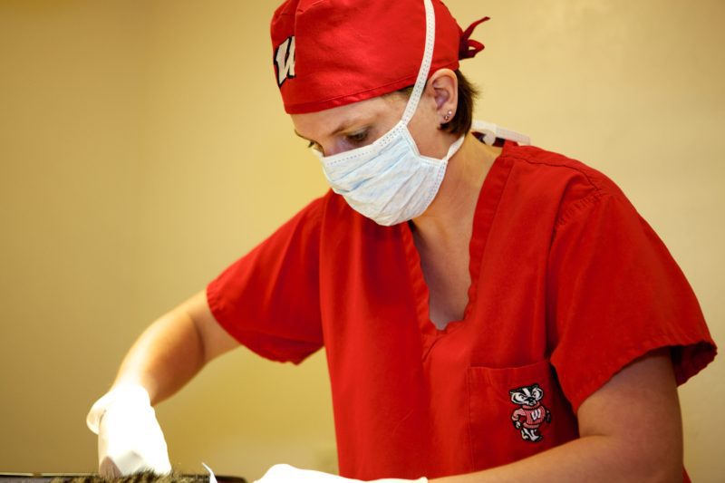 Dr. Kim Everson, DVM, Veterinarian - St. Bernard's Animal Medical Center