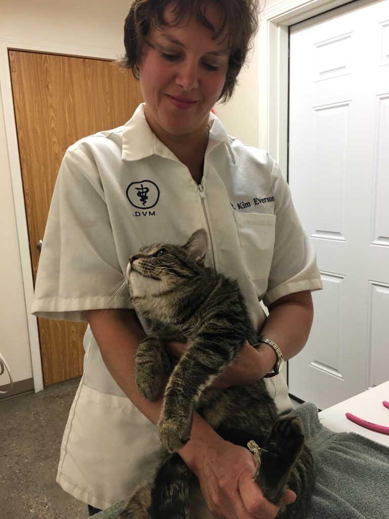 Dr. Kim Everson, DVM, Veterinarian - St. Bernard's Animal Medical Center